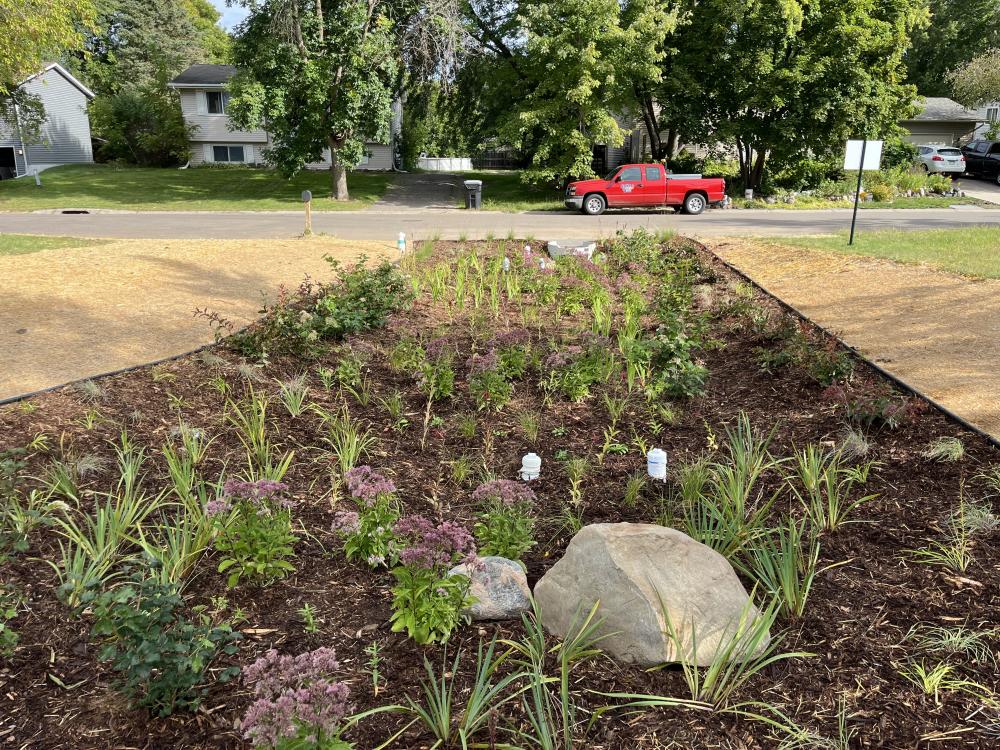 New St. Francis Rain Garden | St. Francis Minnesota